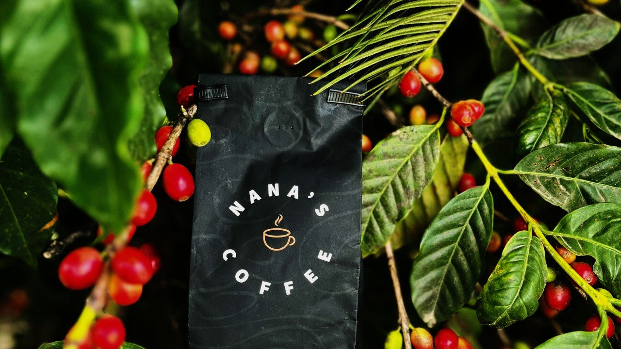 Nana's Coffee | Premium Artisanal Online Coffee Roasters Near You ...