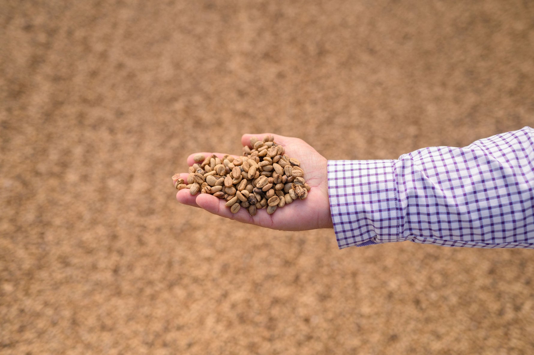 Nana's Coffee | Premium Artisanal Online Coffee Roasters Near You ...